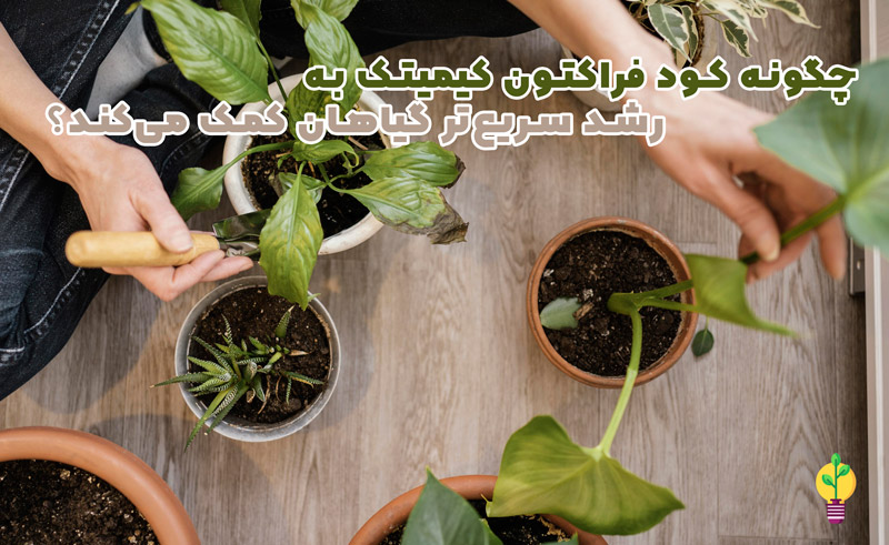 کود فراکتون کیمیتک FRUCTON [+ خرید، قیمت، مشخصات]